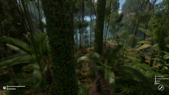 Green Hell - Gamereactor PT