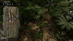 Green Hell - Gamereactor PT