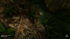 Green Hell - Gamereactor PT