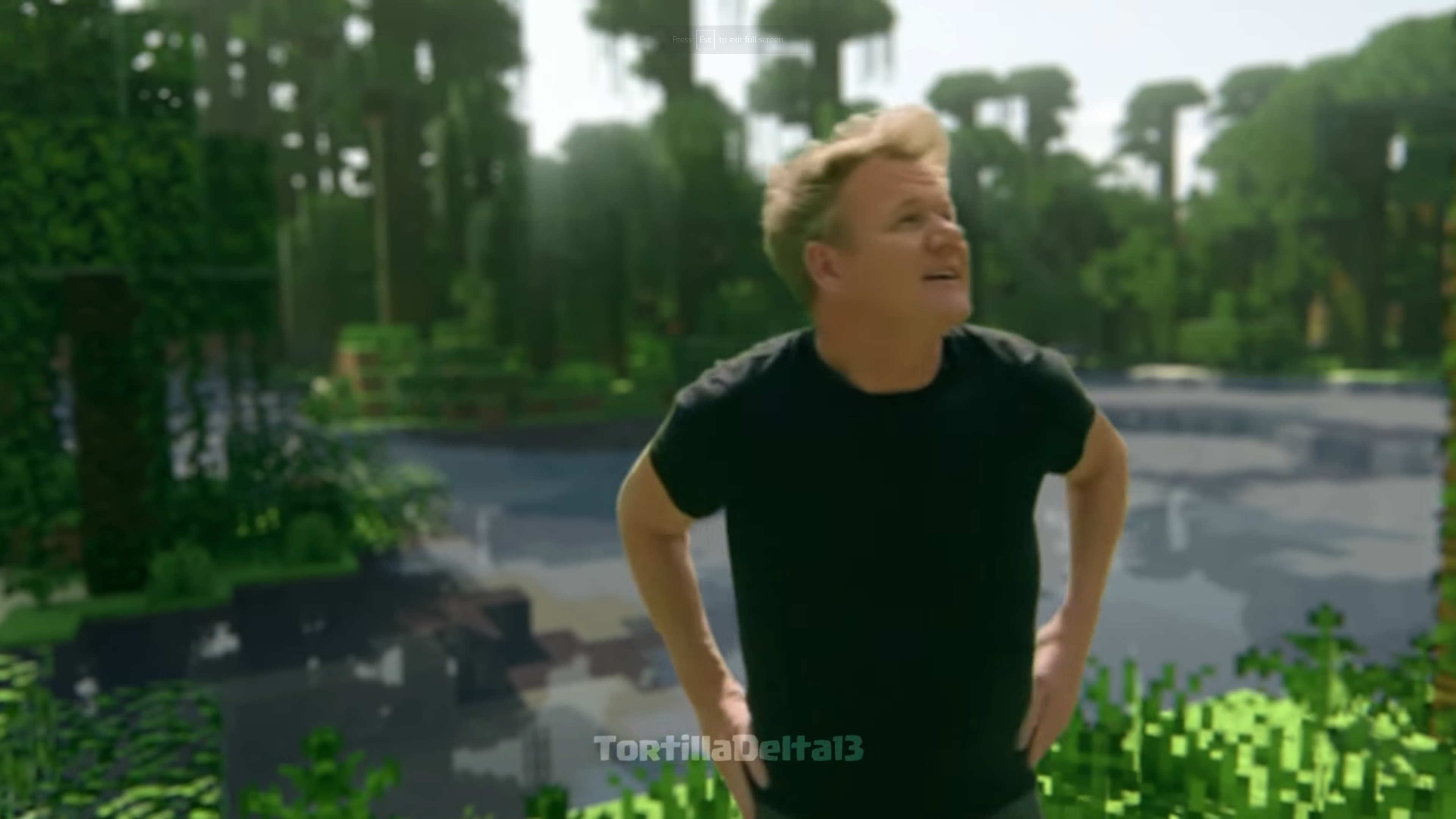 Gordon Ramsay assume Minecraft neste vídeo hilário feito por fãs