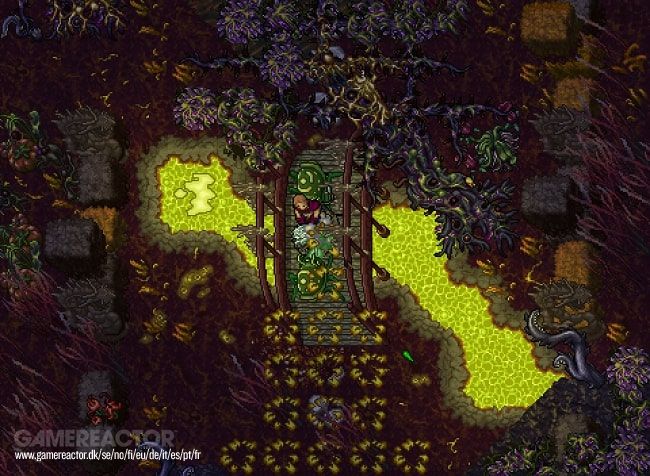 28 anos após seu lançamento original, Tibia lança sua quinta classe jogável